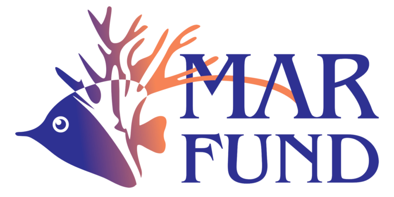 About Mar Fish - Mar Fish